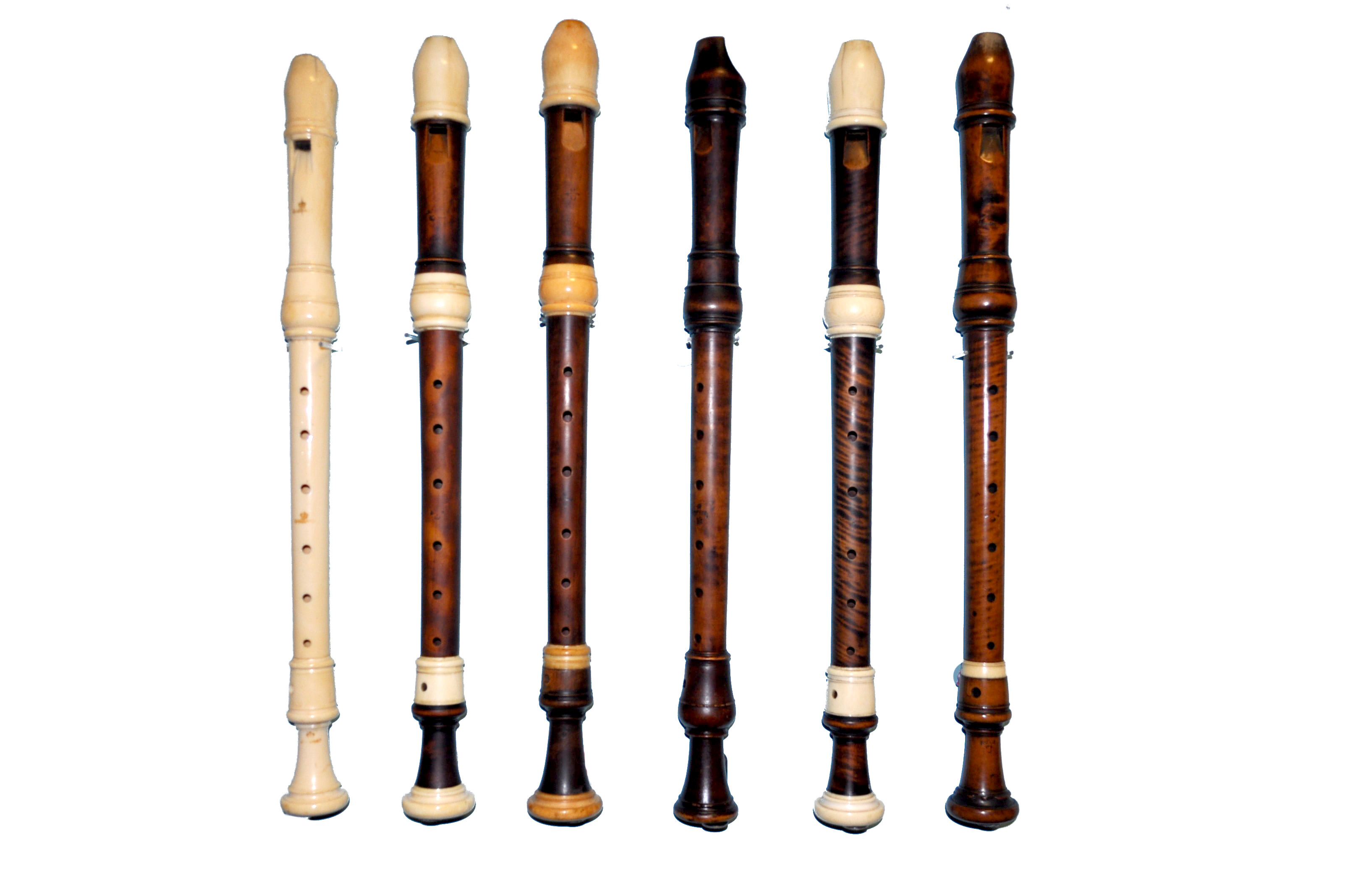 Technical Drawings | The Bate Collection