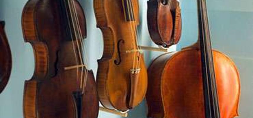 Home | The Bate Collection